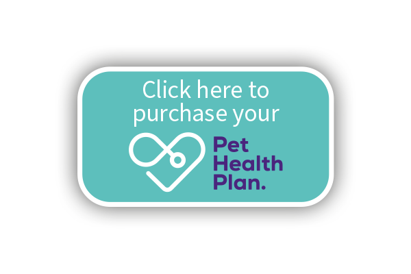 Pet Health Plan - Tamar Vets